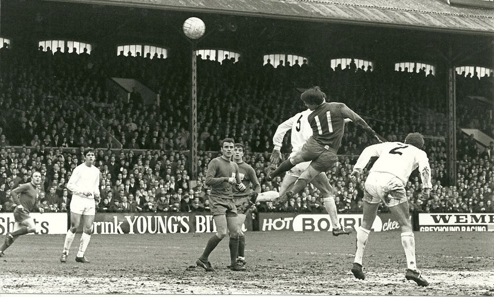 Fulham FC - Fulham FC