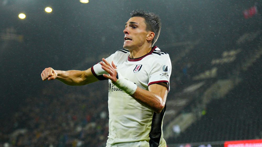 Fulham FC - Goal Of The Month Vote: November/ December