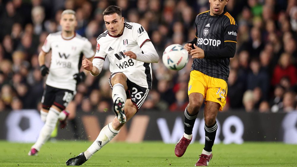 Fulham FC - Goal of the Month Result: February