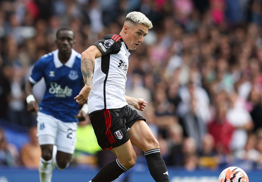 Fulham FC - Extended Highlights: Everton