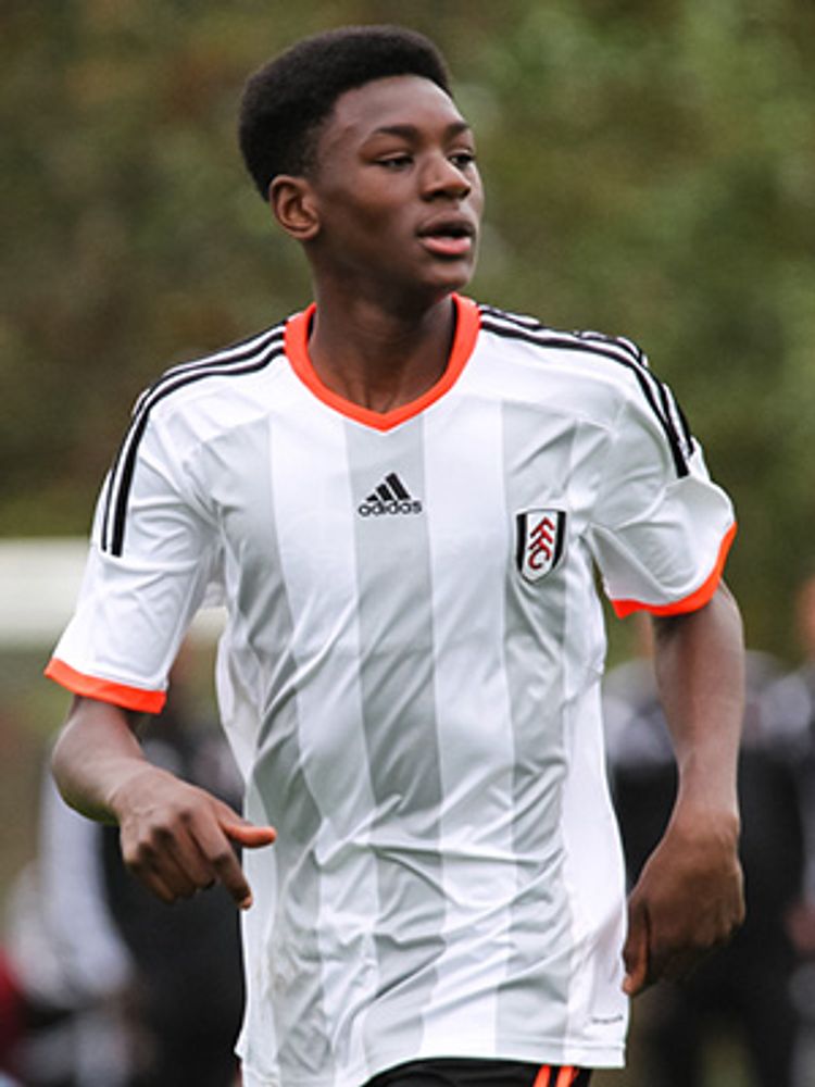 Fulham FC - Fulham FC
