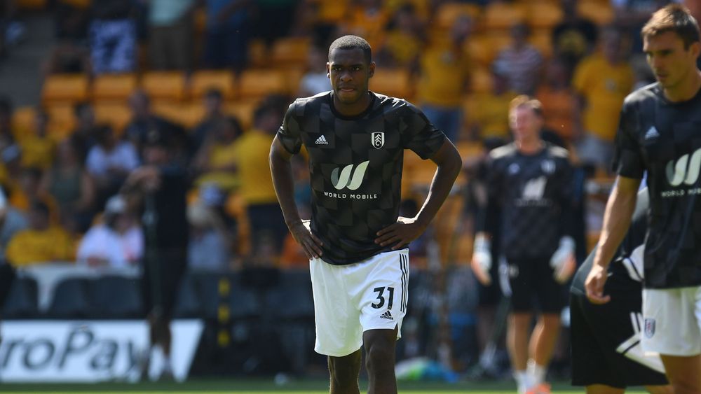 Fulham FC - Media Insight: Diop