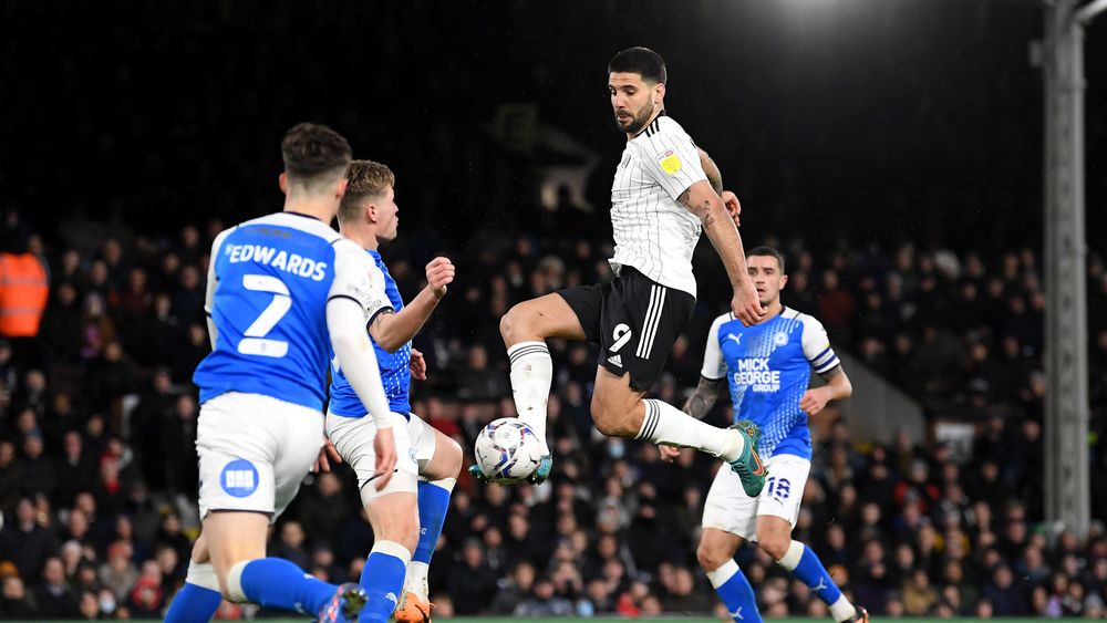 Fulham FC - Goal of the Month Result: February