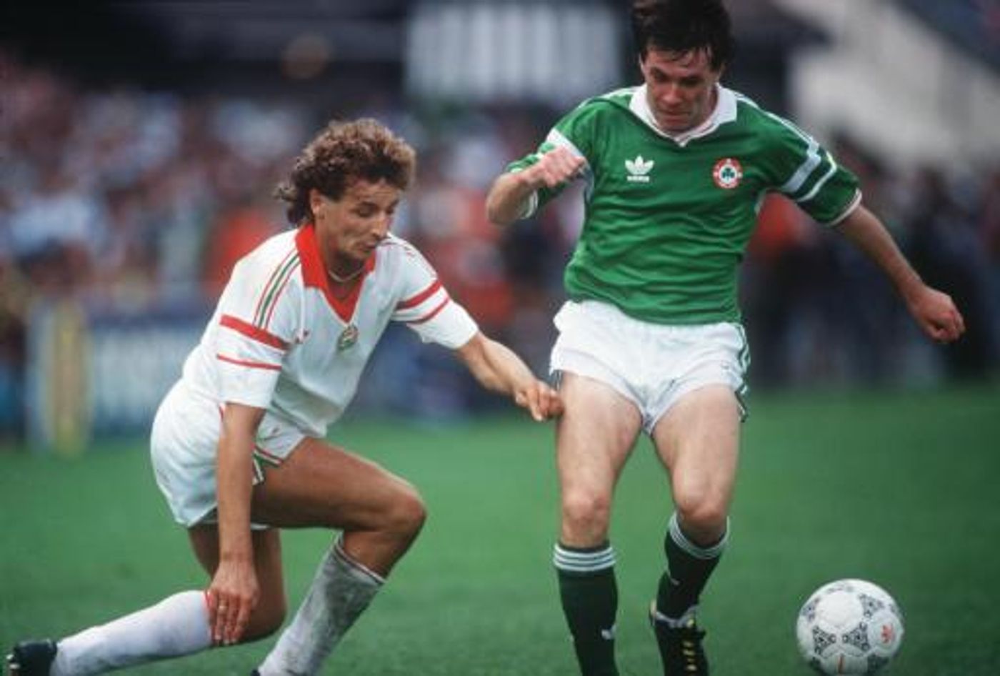 Fulham FC - Fulham FC