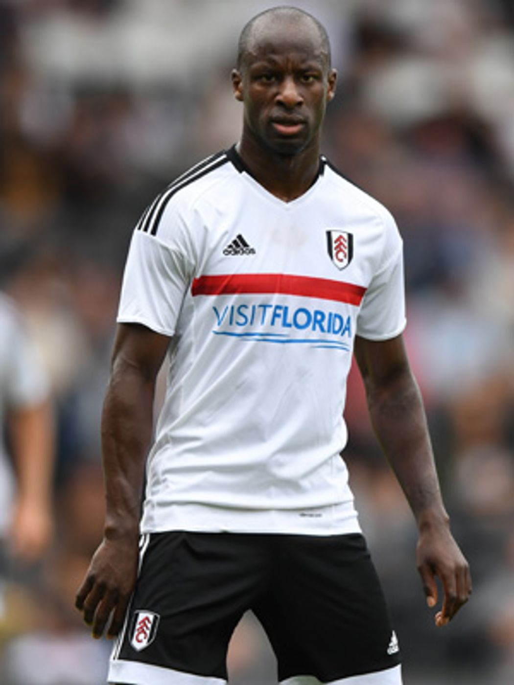 Fulham FC - Fulham FC