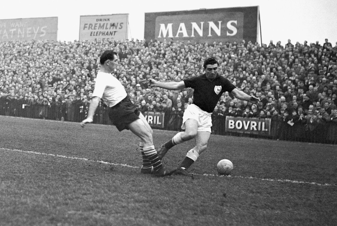 Fulham FC - Fulham FC