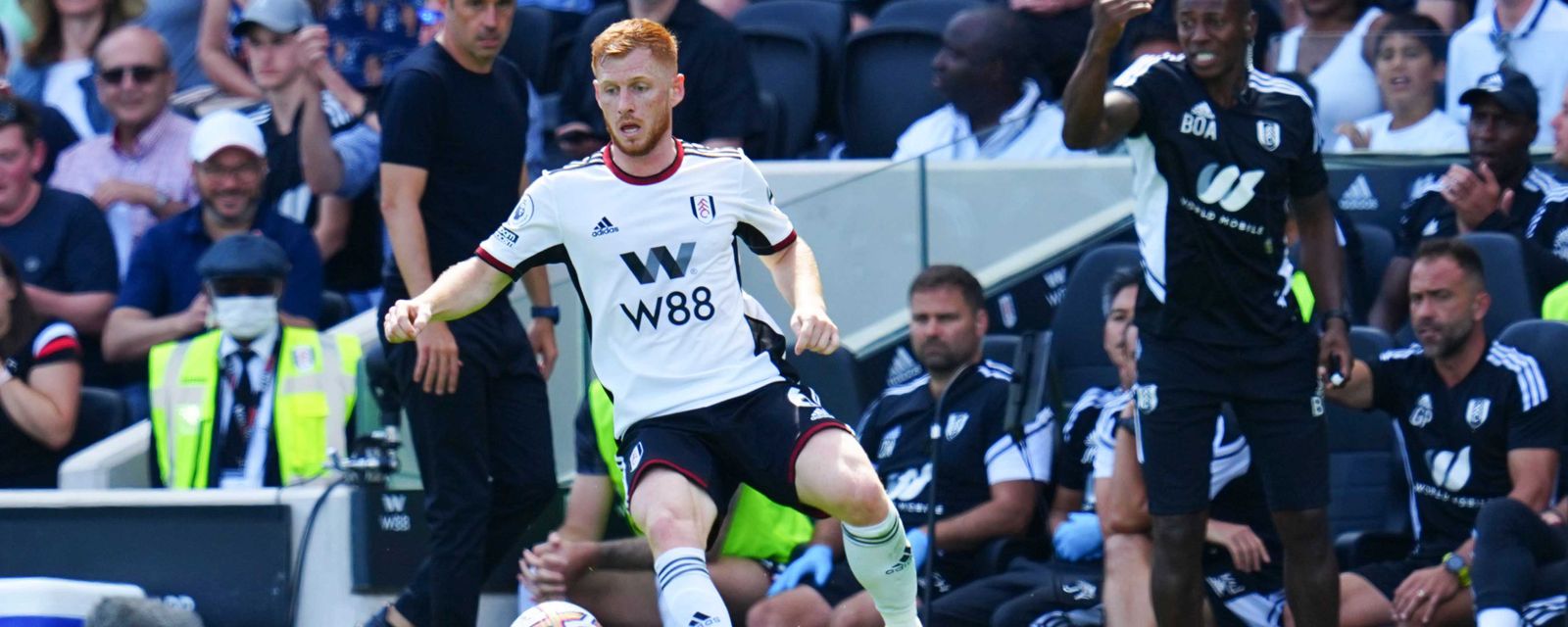 Fulham FC - Harrison Reed