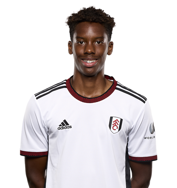 Fulham FC - Harvey Araujo