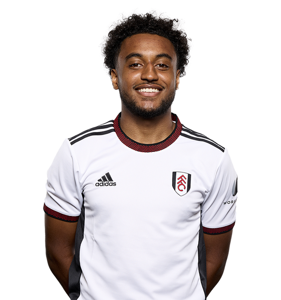 Fulham FC - Luciano D'Auria-Henry