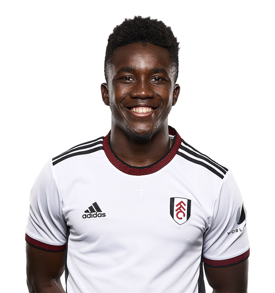 Fulham FC - Terry Ablade