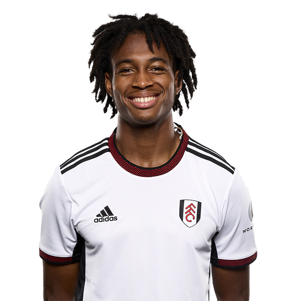 Fulham FC - Stefan Parkes